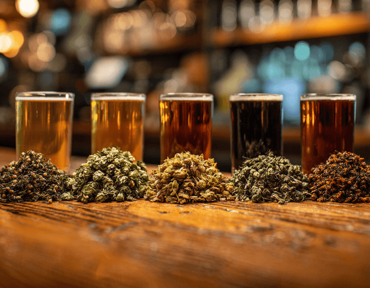 5 Hop Pairings for Complex and Flavorful Beers – Abstrax Hops