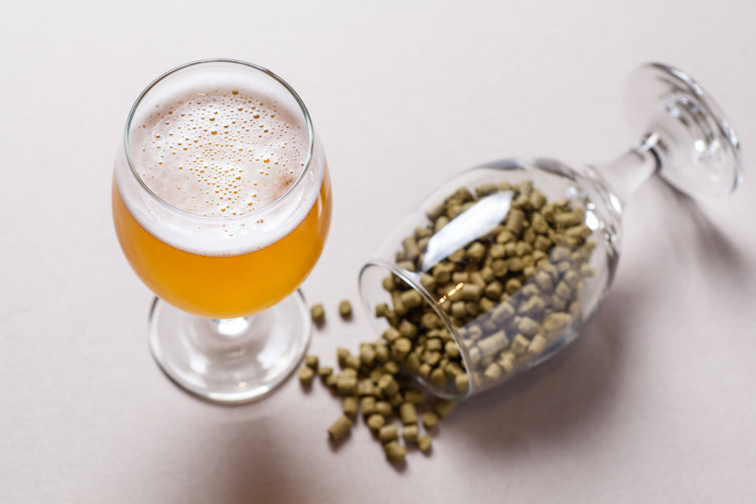 The History of Hop Extracts | Abstrax Hops