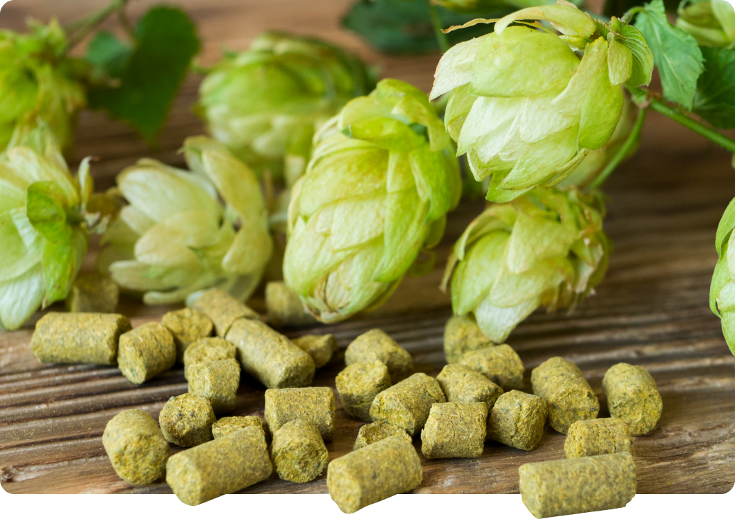 Quantum Series – Abstrax Hops